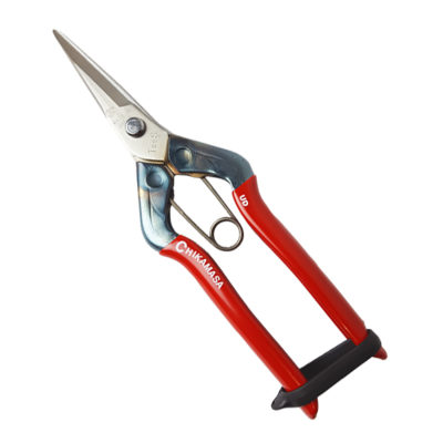 Chikamasa Scissors: Wholesale Harvest Supply